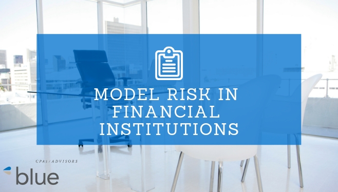 Model Risk in Financial Institutions – Blue & Co., LLC